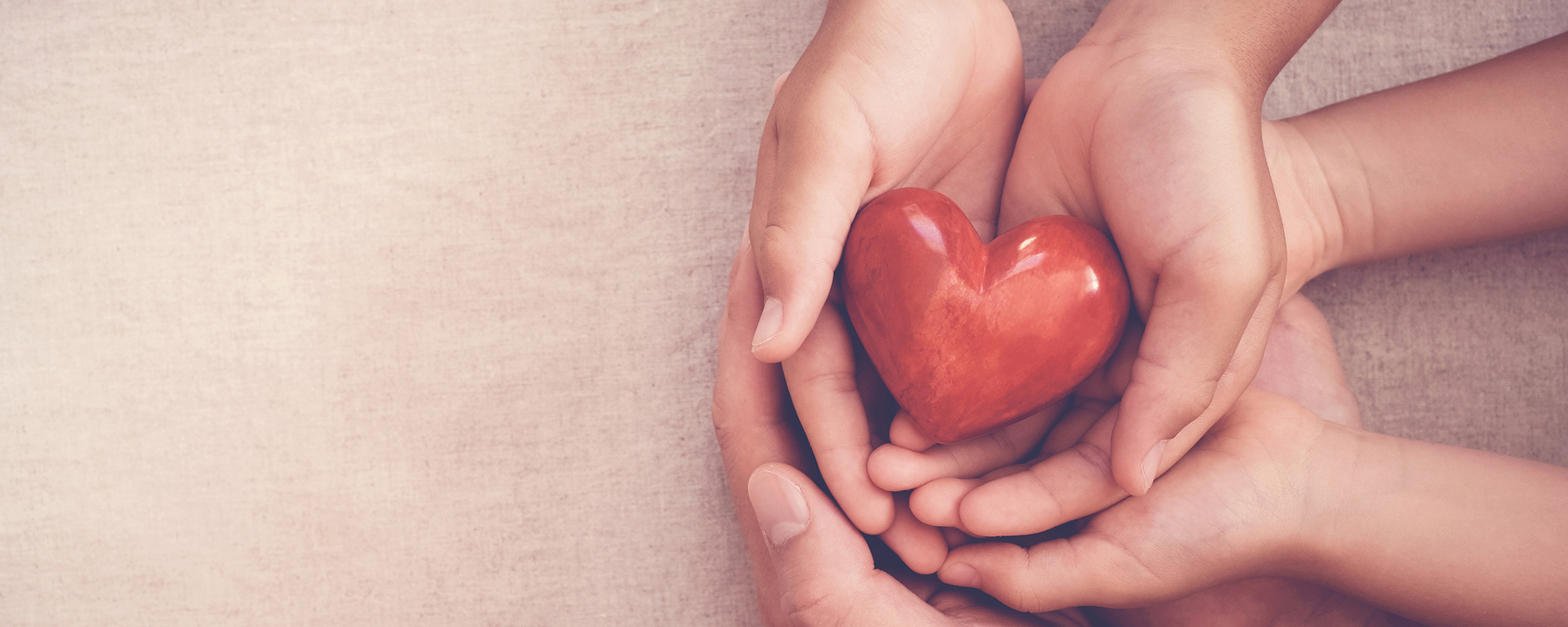 Give Back This Holiday Season - RH Strategic