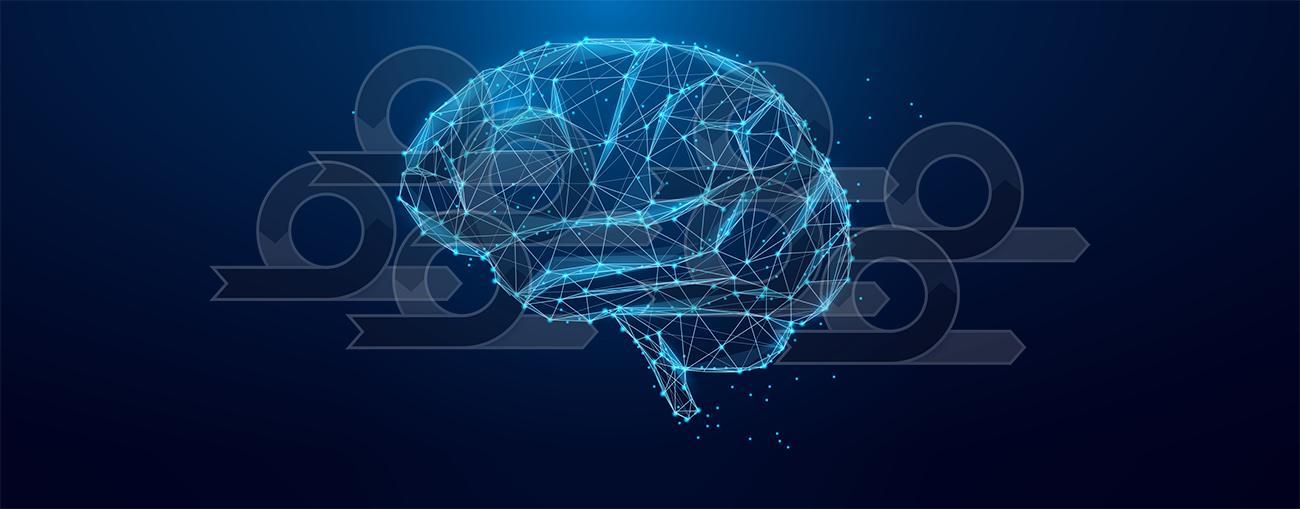 The Anatomy of a News Cycle